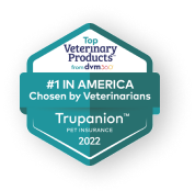 Continue Coverage | Trupanion Pet Insurance