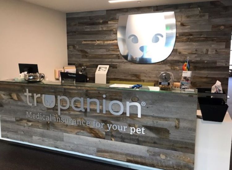 What it's Like to Work in Trupanion Member Experience
